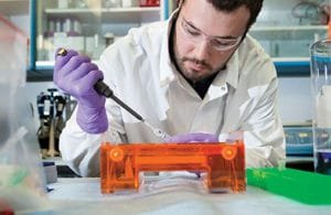 Get DNA Profiling Test in India – DNA Forensics Laboratory