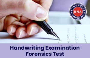 Expert Handwriting Forensics in India | Accurate Tests